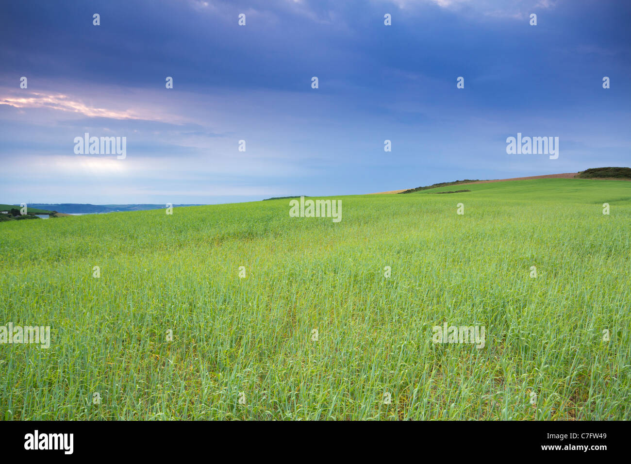 Farmed fields uk hi-res stock photography and images - Alamy