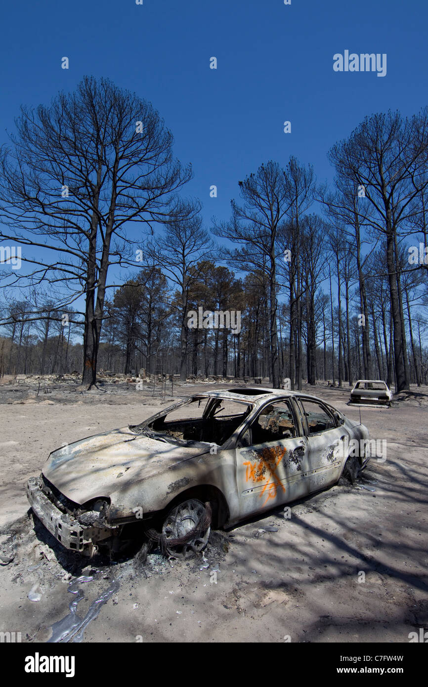 A car burned out by wildfire that passed through heavily forested ...