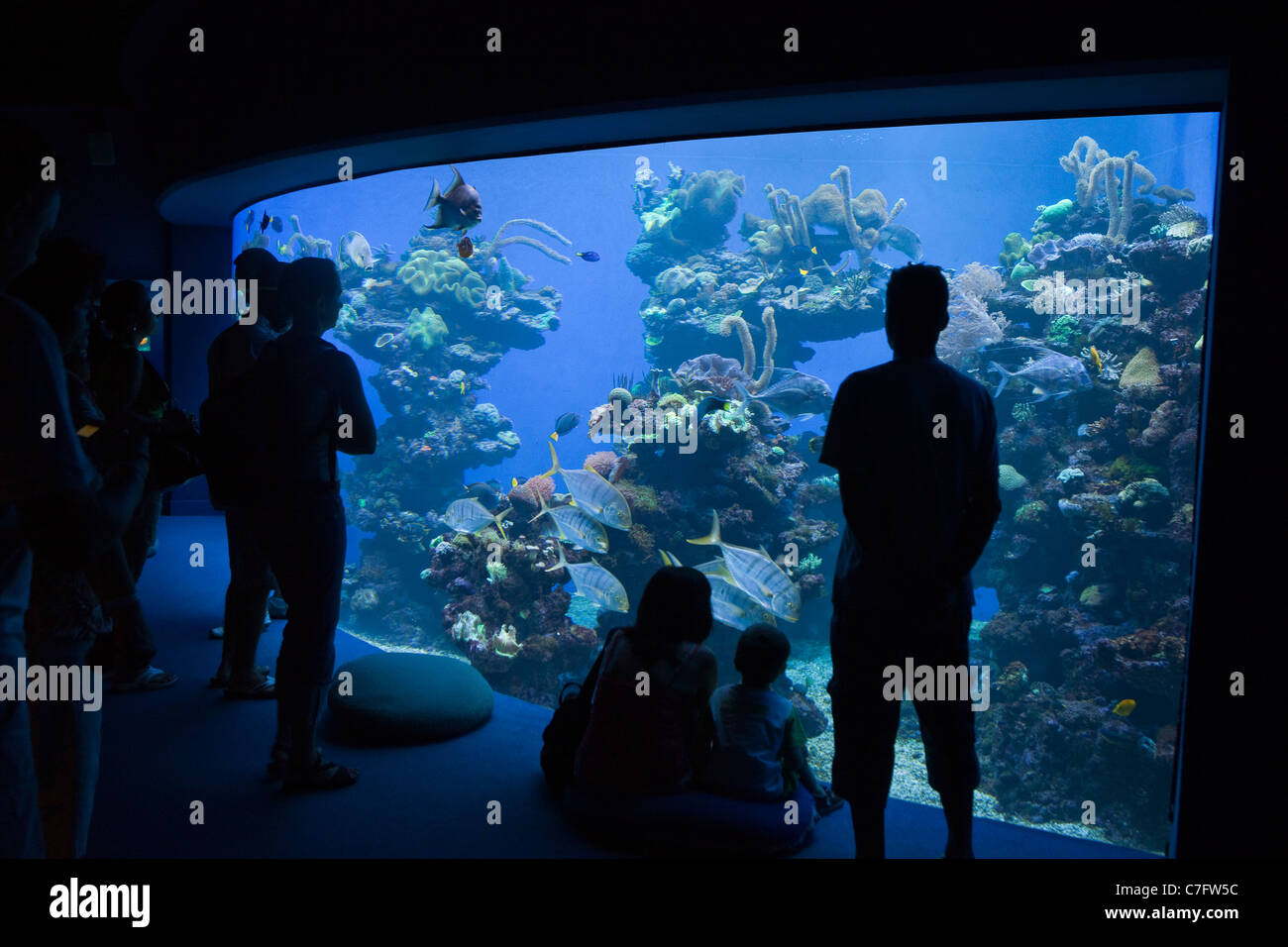 Majorca Palma Aquarium High Resolution Stock Photography and Images - Alamy