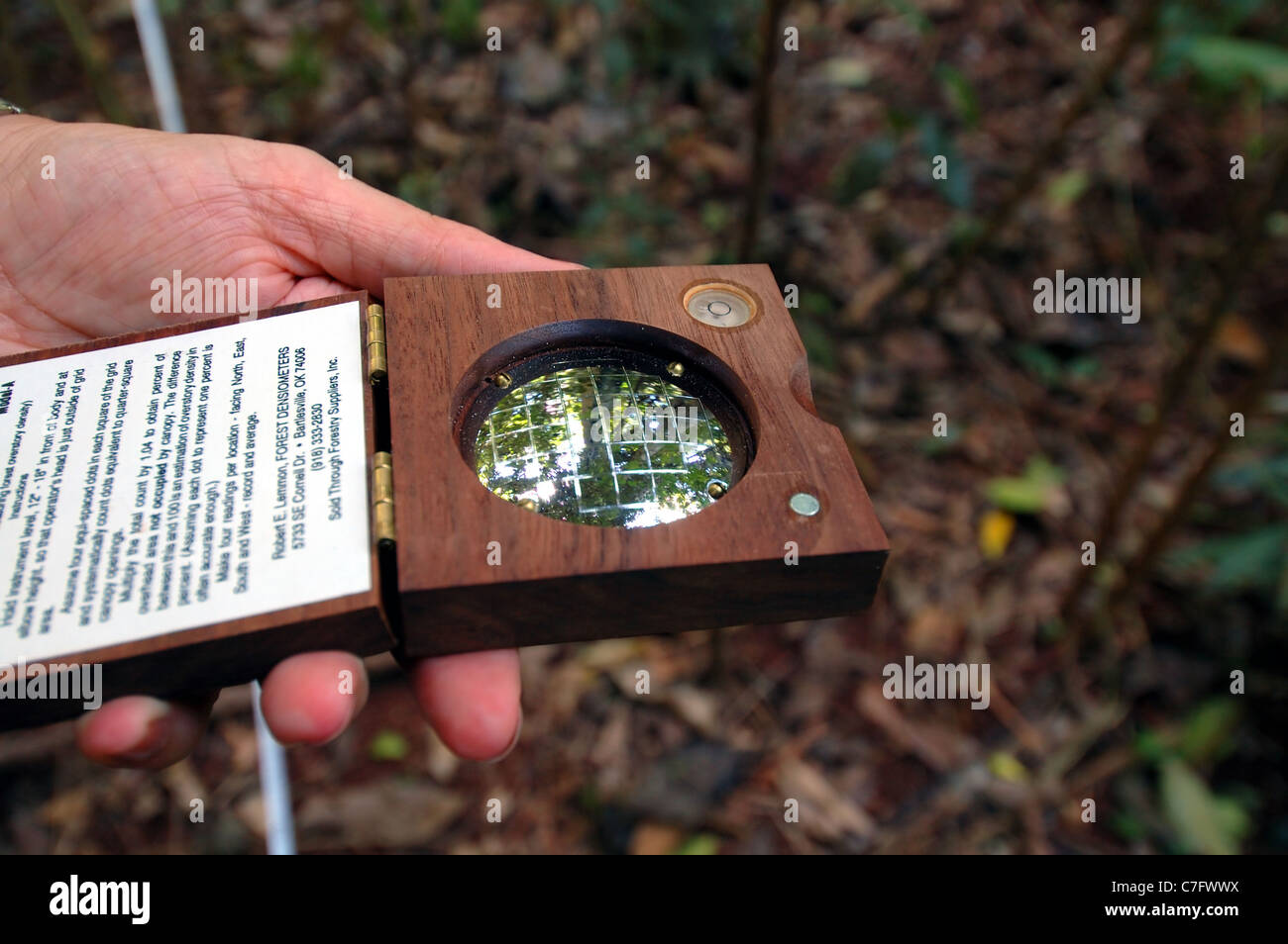 Ecologist using densitometer to measure rainforest canopy damage after ...