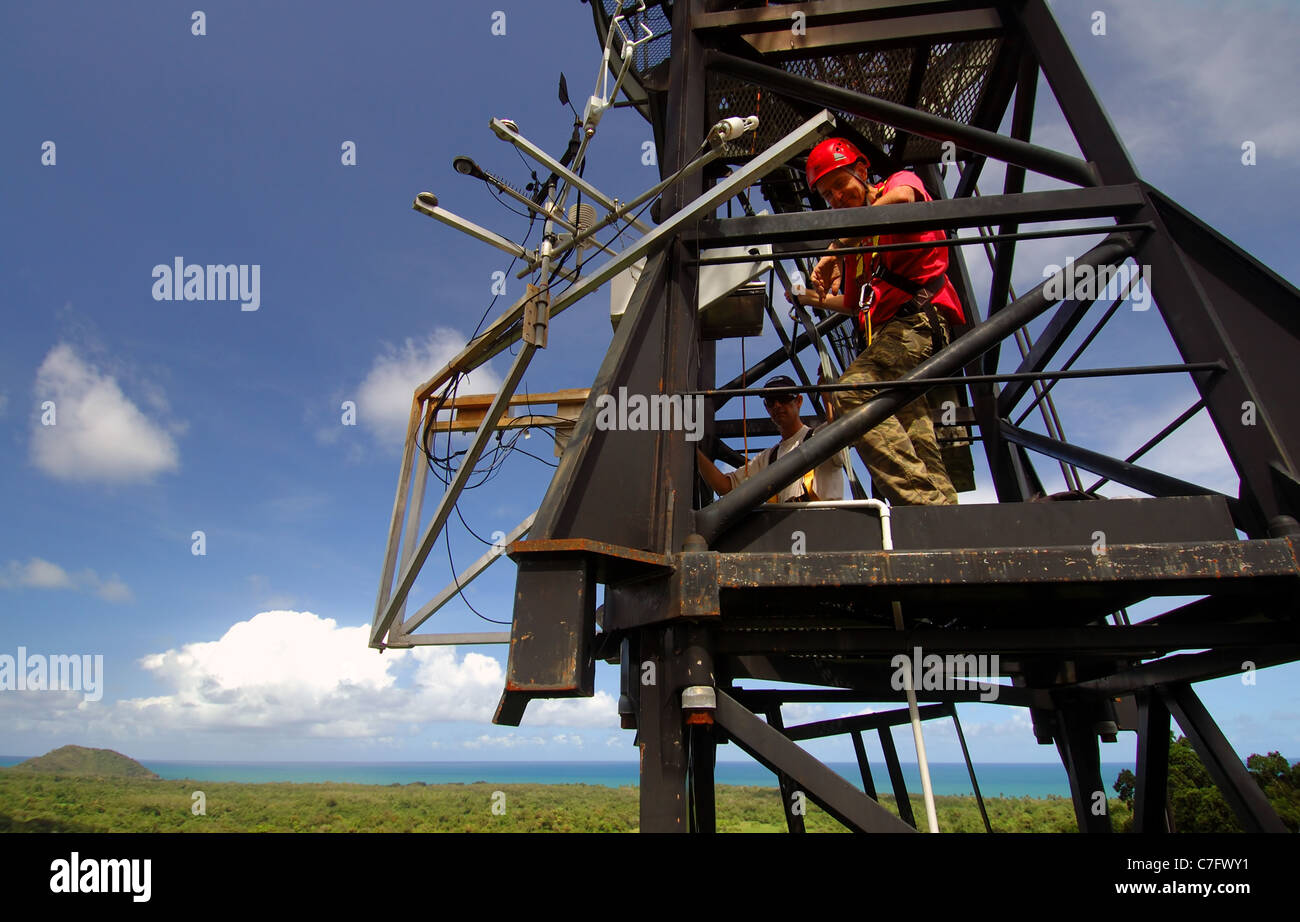 Scientists working on instrument platform of the JCU Canopy Crane ...