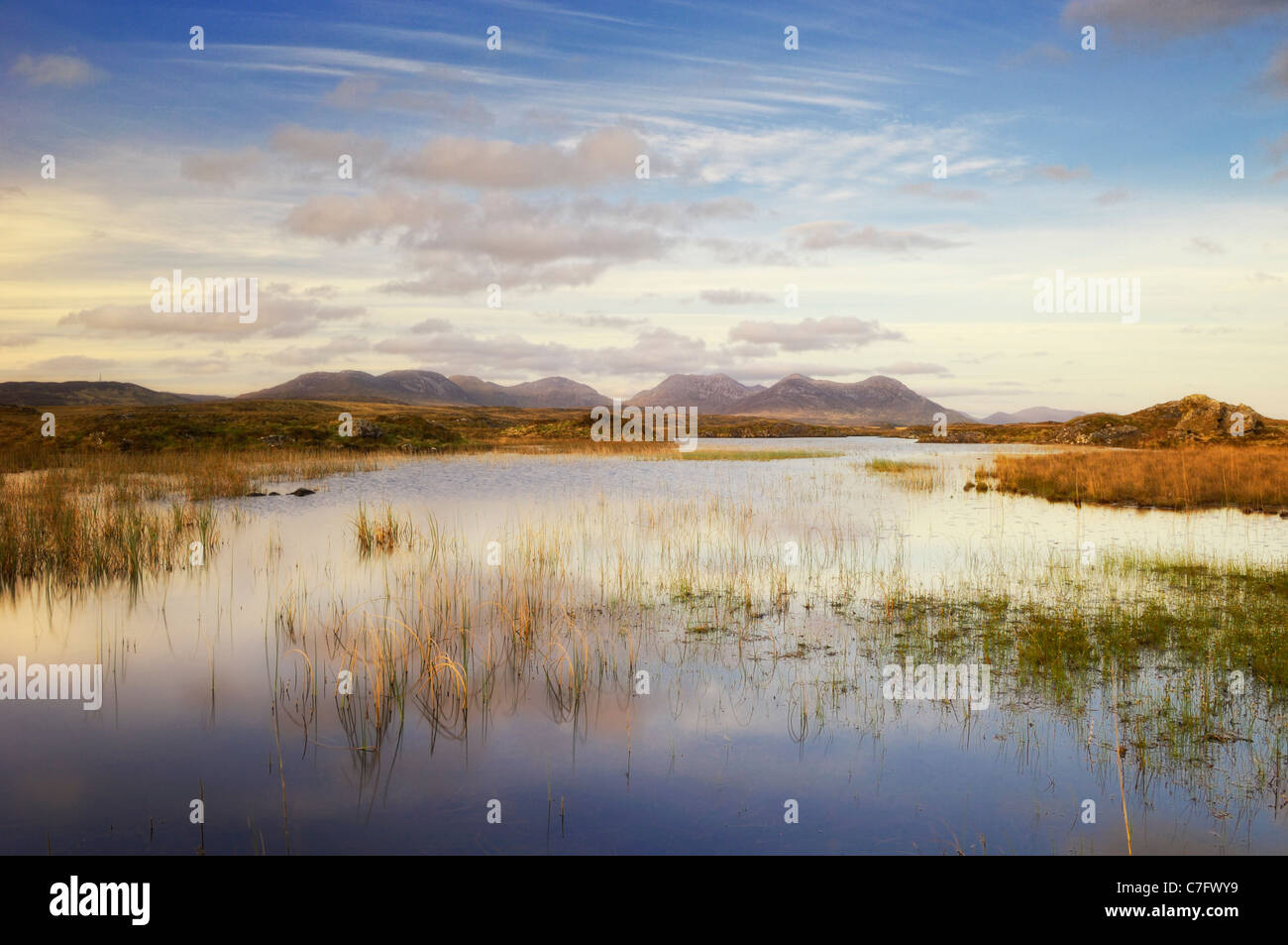 Bog landscape with the 12 Bens mountain range in the background ...