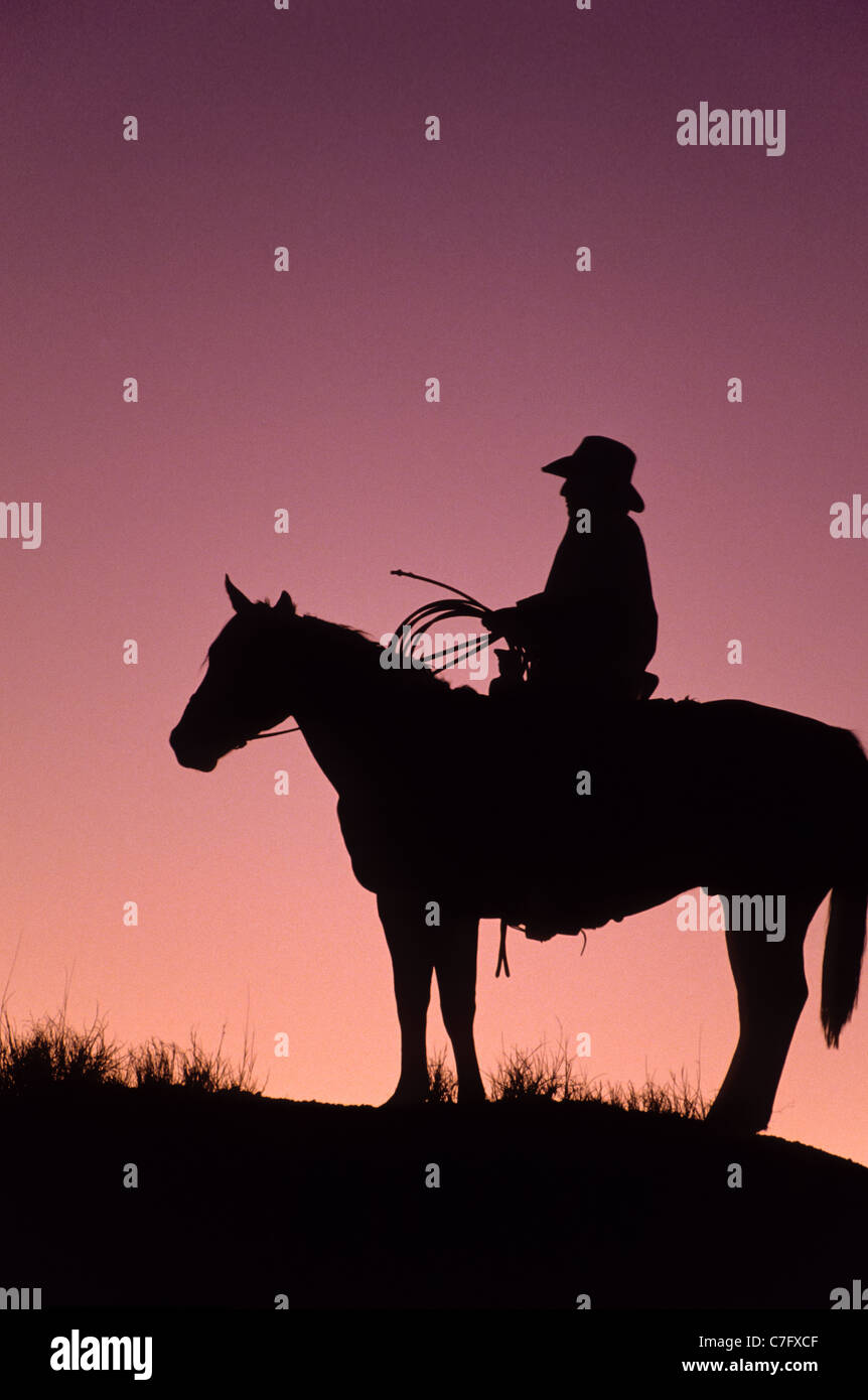 Cowboy with lasso and hat on a horse in a silhouette to the sunset ...