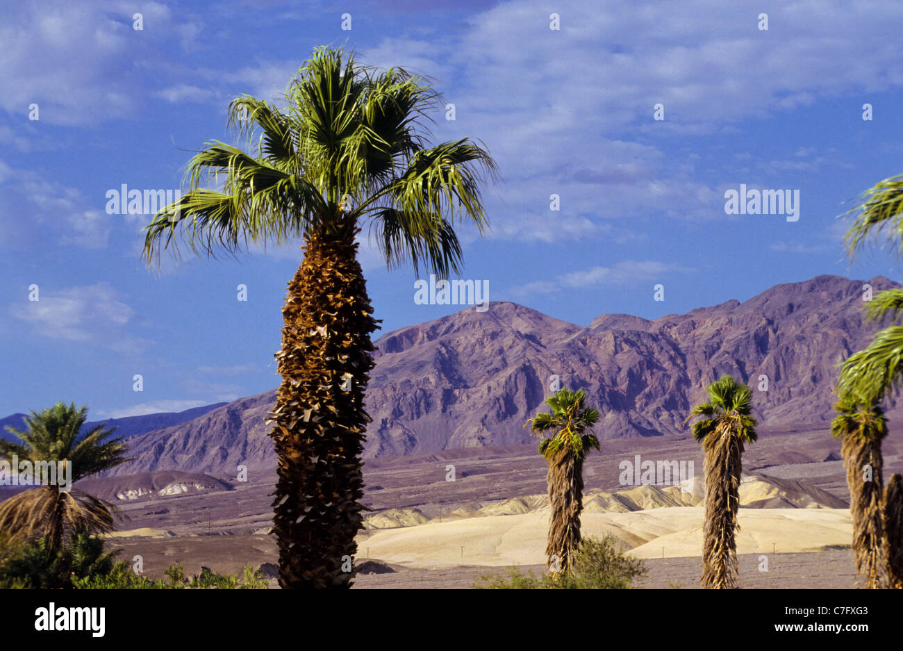 Best death valley photo hi-res stock photography and images - Alamy