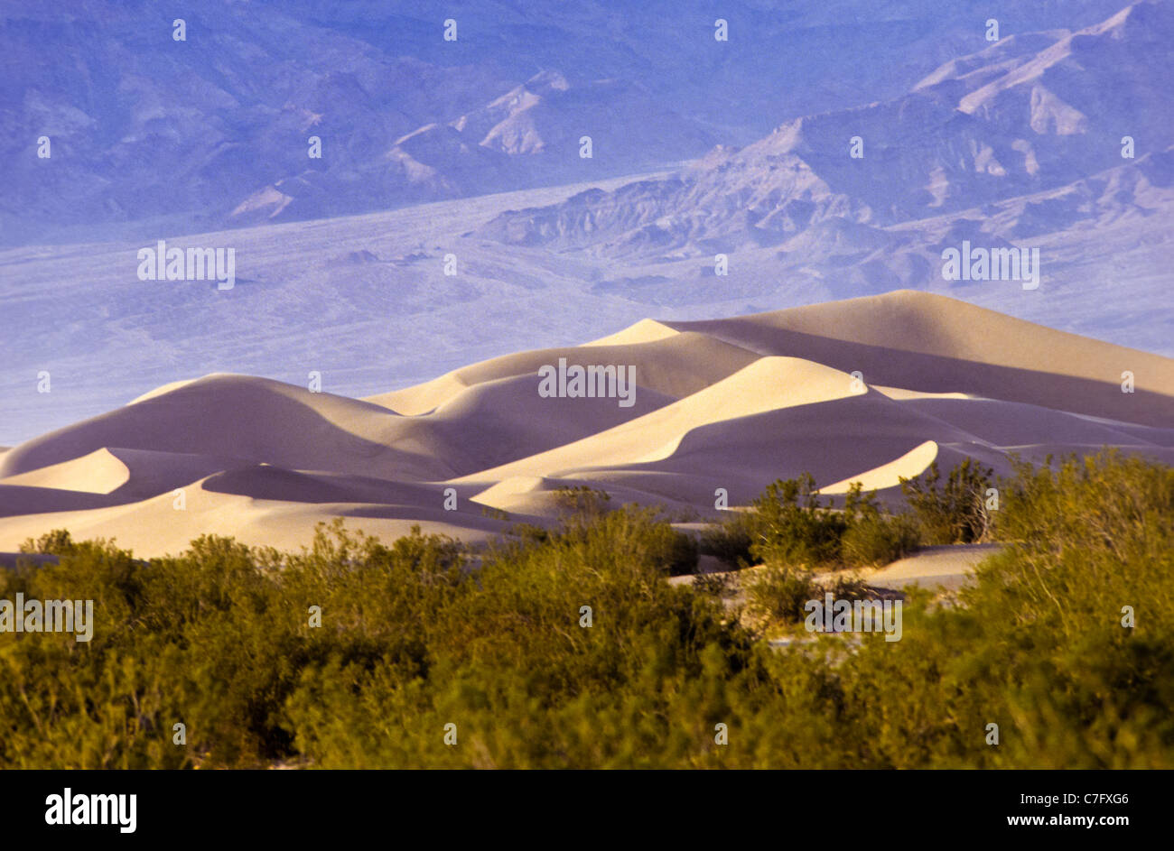 Sand dunes and schrup in Death Valley, California, USA Stock Photo - Alamy