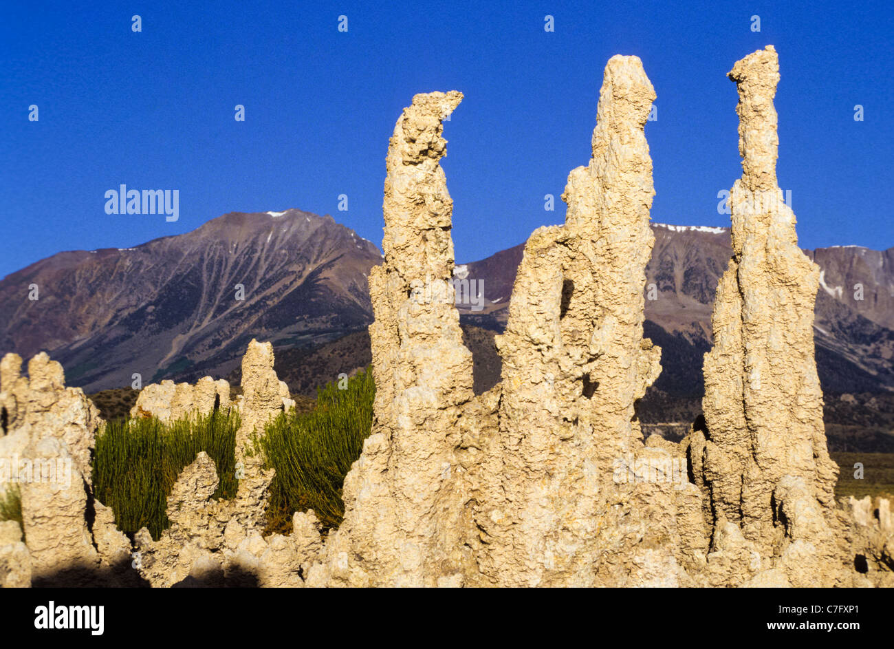 Mono Lake, California, USA Alkaline jagged stone formations in arcenic ...