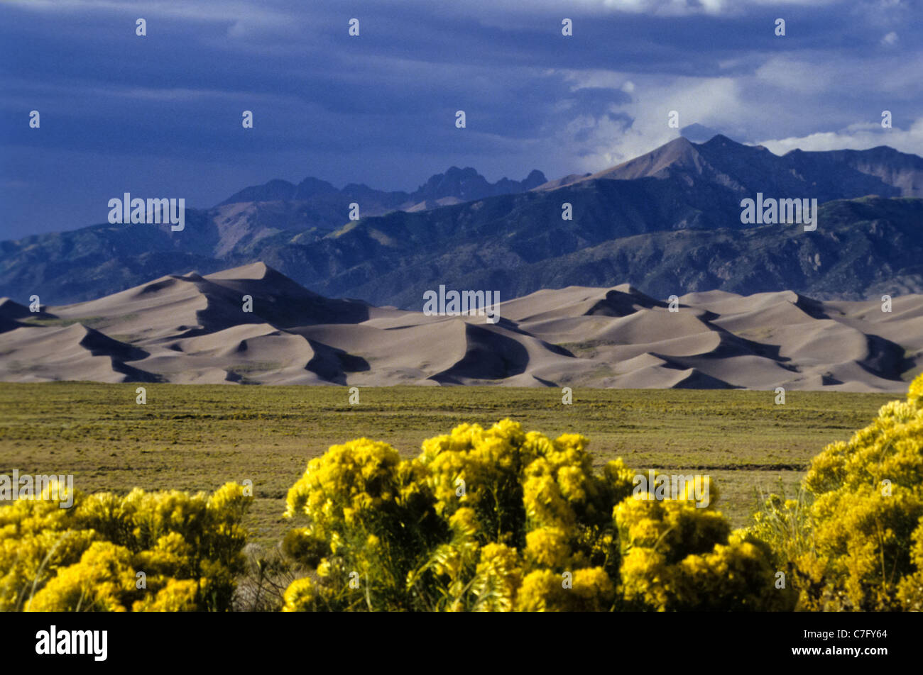 The Great Sand Dunes National Park in Colorado, USA Stock Photo - Alamy