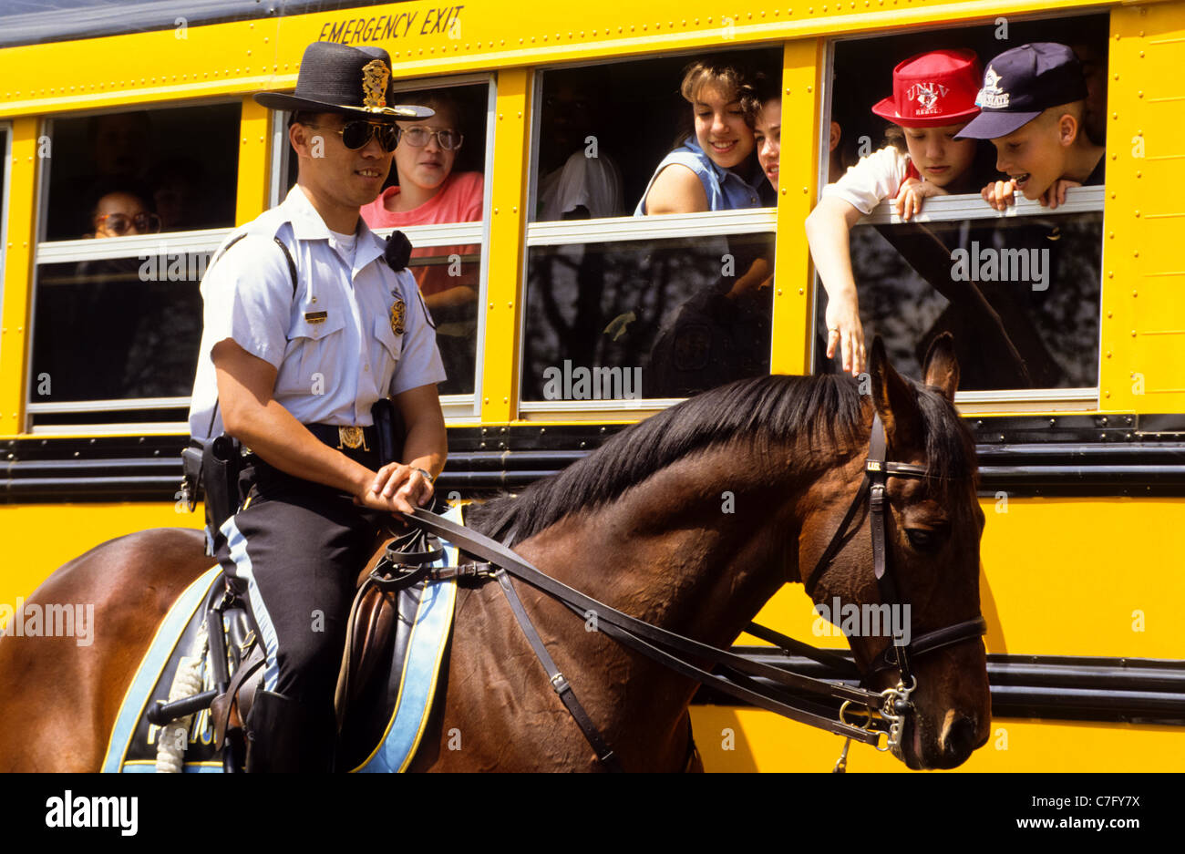 Police man on a horse by a yellow school bus in Washington DC, USA ...