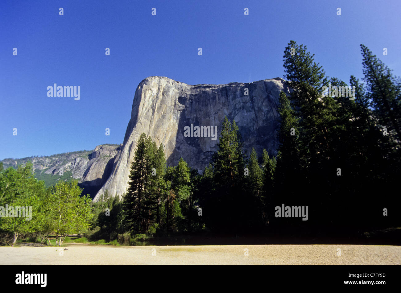 El Capitan in Yosemite National Park, California, USA Stock Photo - Alamy