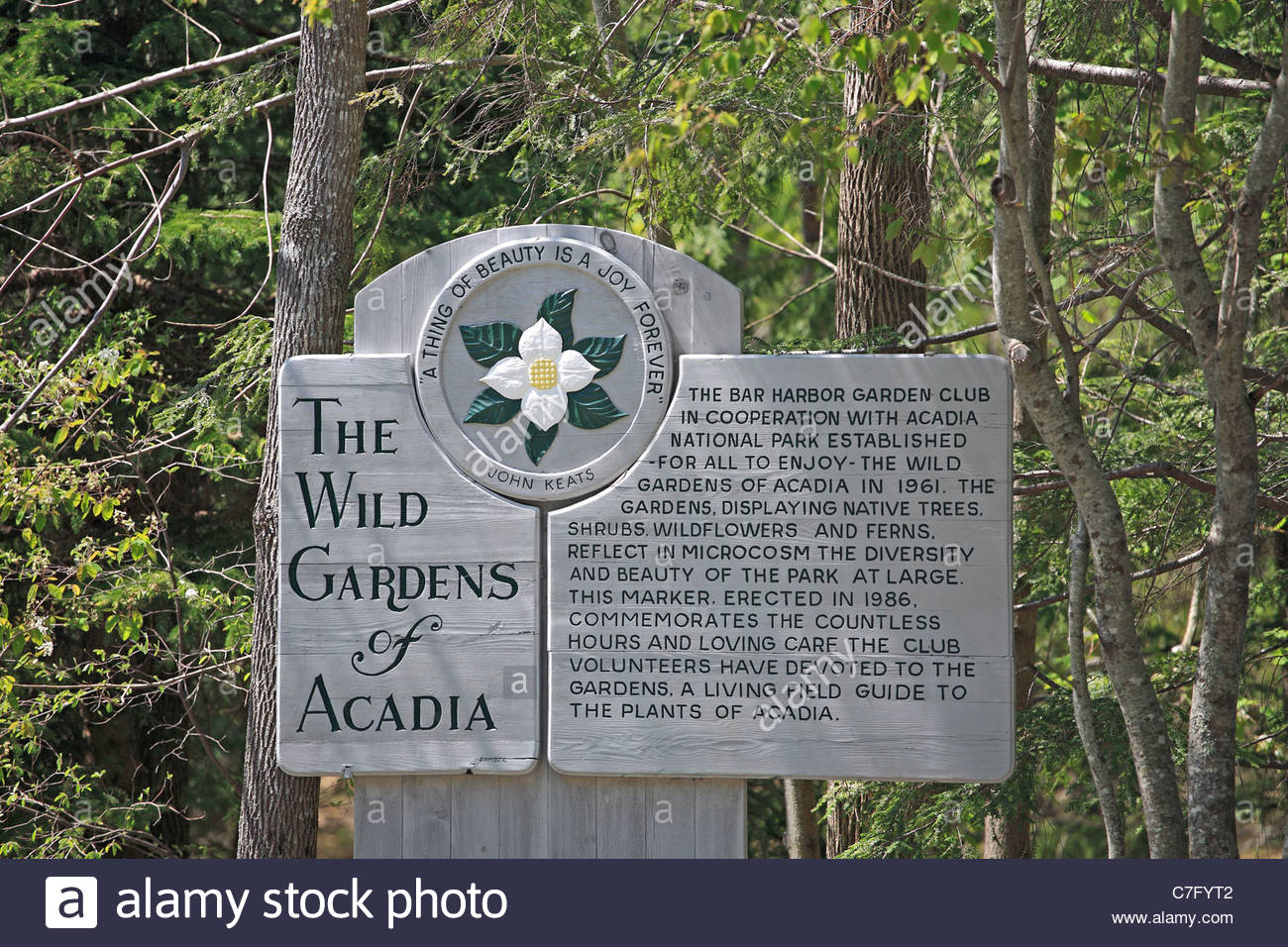 Wild Gardens Of Acadia Stock Photos & Wild Gardens Of Acadia Stock ...