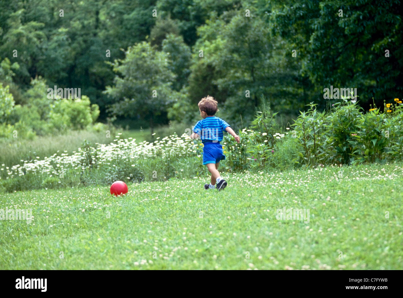 Young boy, Afghan American, chasing a red ball down hill in back yard ...