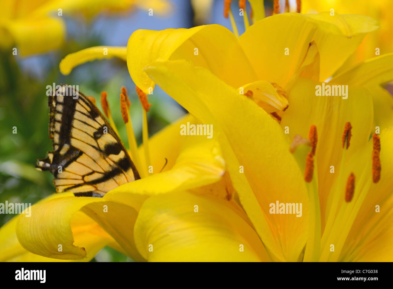 Winston connorton hi-res stock photography and images - Alamy