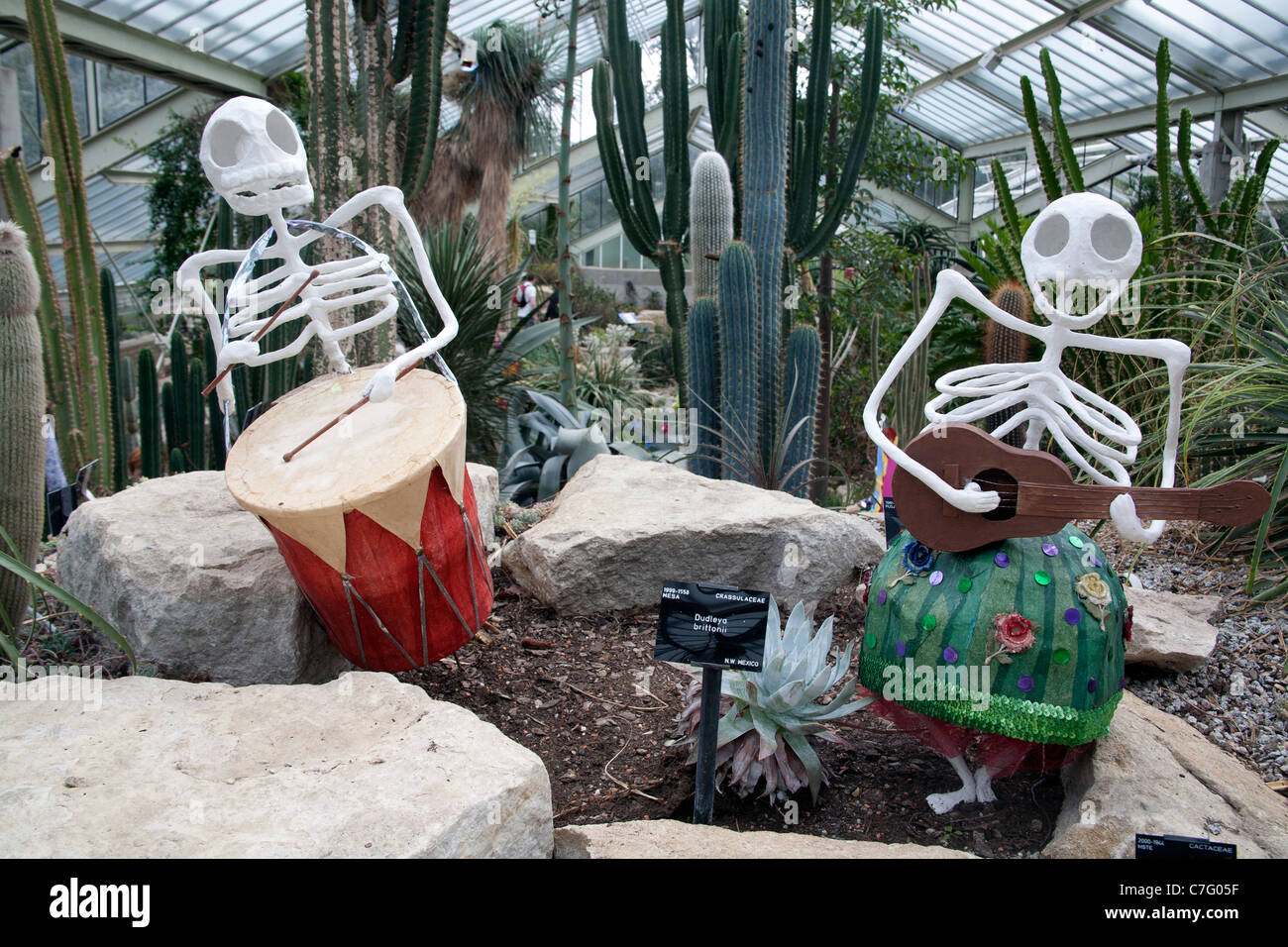 Day of the Dead skeletons playing musical instruments in the Princess ...