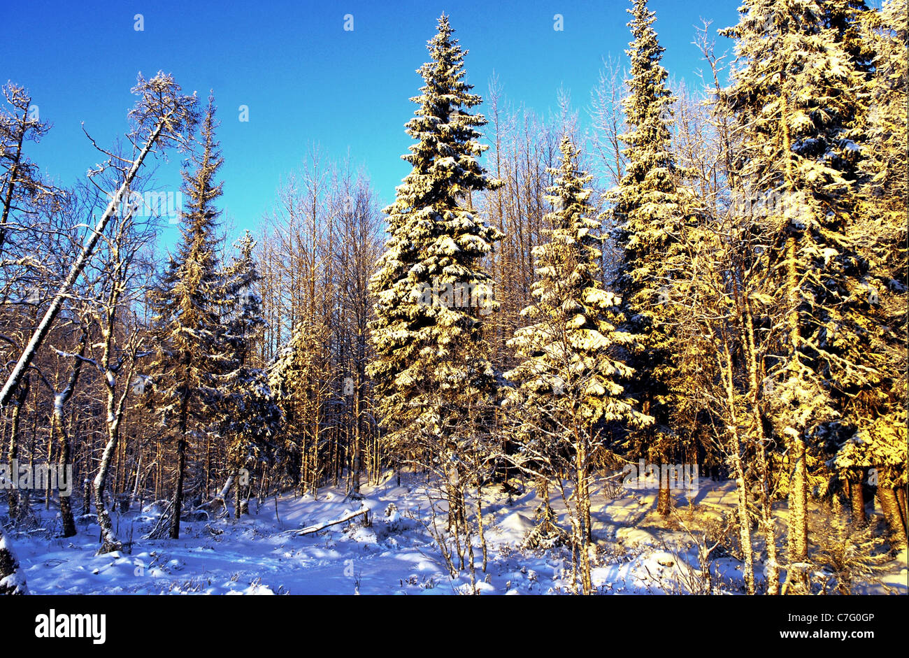 Tranquil background hi-res stock photography and images - Alamy