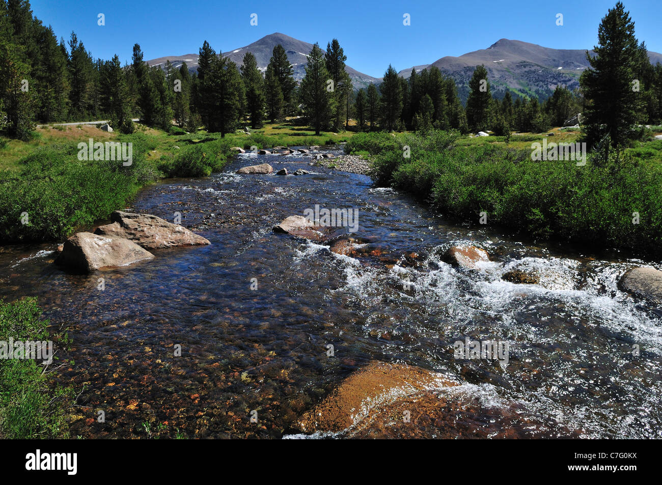 Tioga hi-res stock photography and images - Alamy