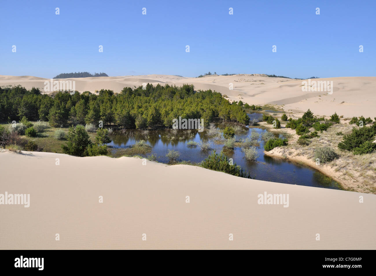 Sand and dunes from Oregon dunes national recreation area near ...