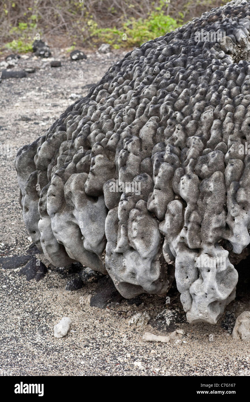 Causes Uplift Of Rocks