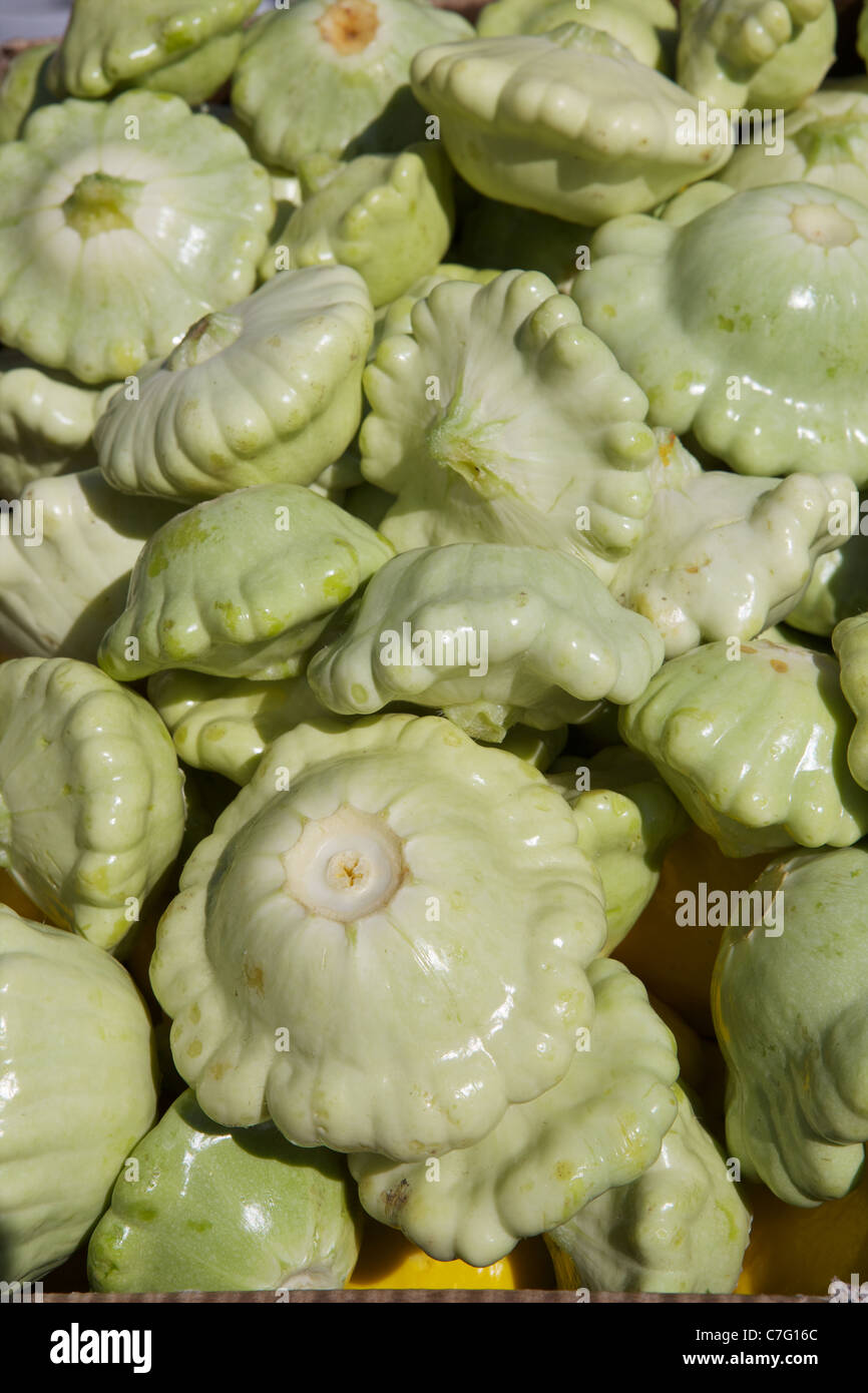Flying saucer squash hi-res stock photography and images - Alamy