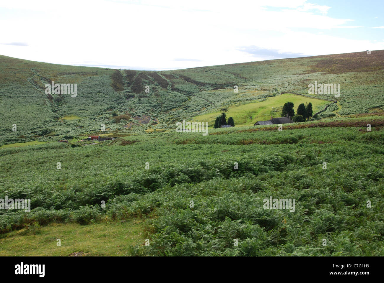desolate Dartmoor landscape near Widecombe in the Moor Devon UK Stock ...