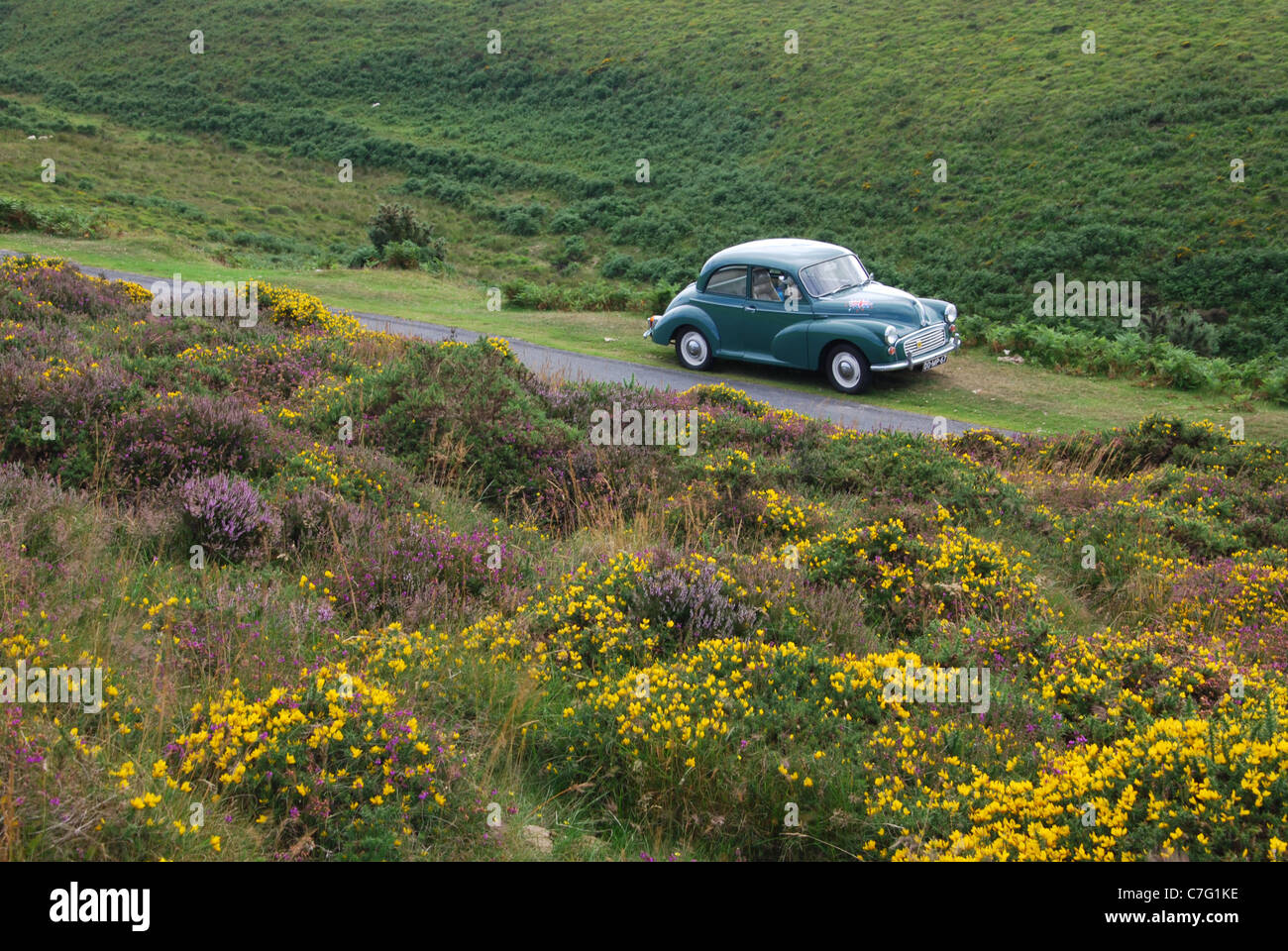 classic Morris Minor touring the Dartmoor countryside Devon UK Stock ...