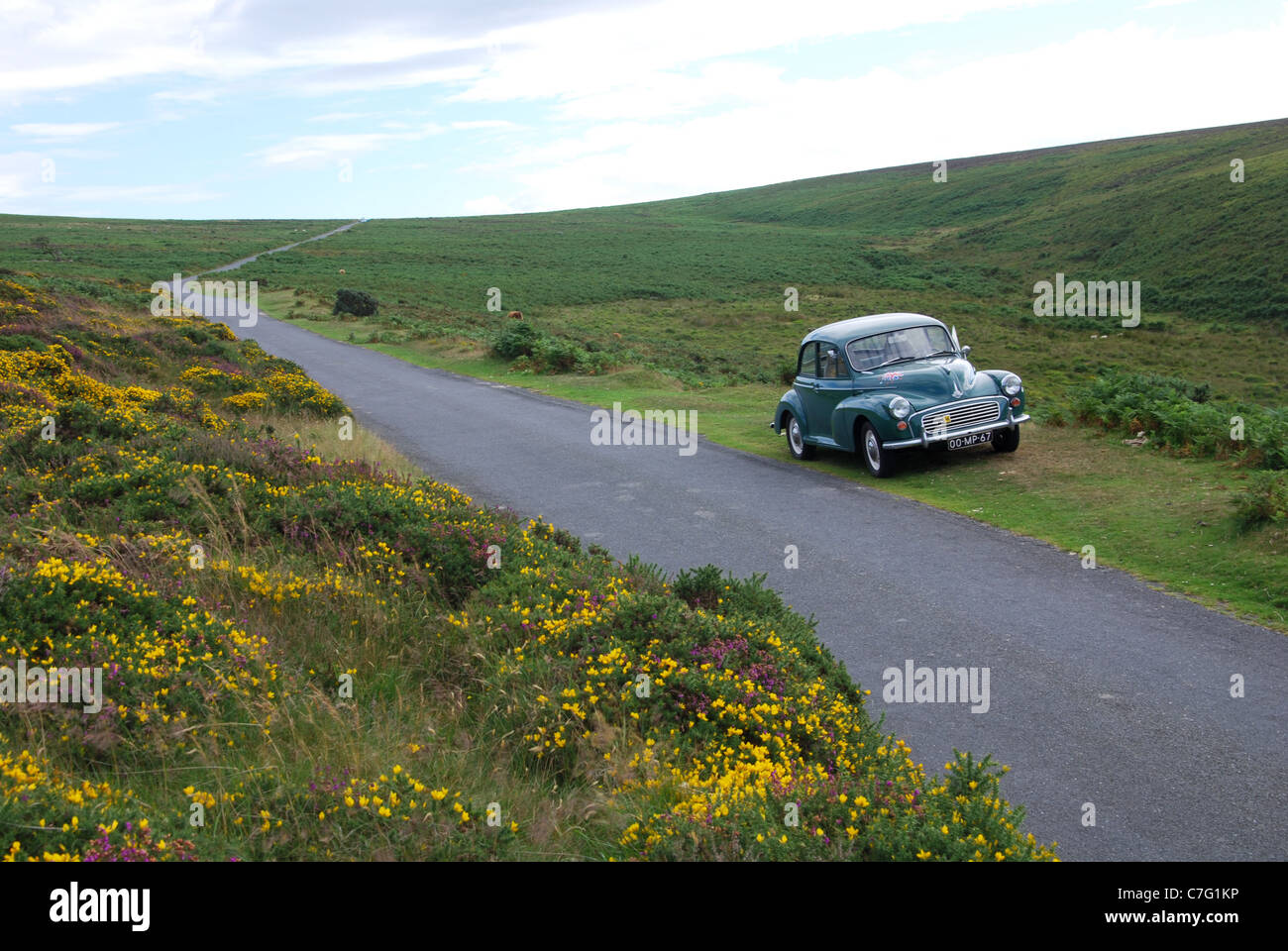 classic Morris Minor touring the Dartmoor countryside Devon UK Stock ...