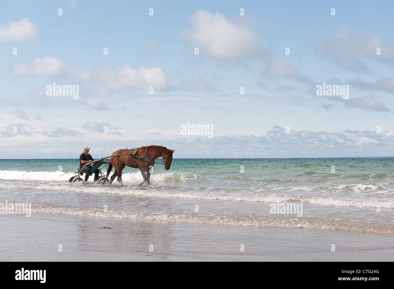 Shrimp festival normandy hi-res stock photography and images - Alamy
