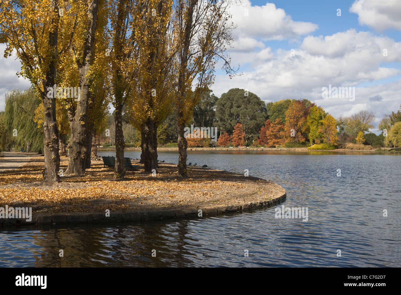 Autumn colours in Commonwealth Park, Canberra, Australia Stock Photo ...