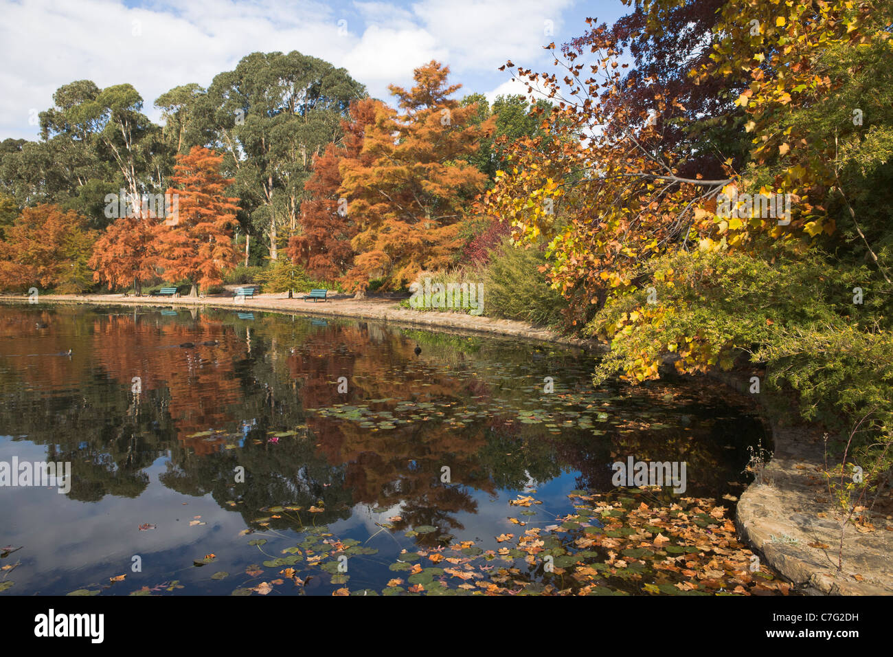 Autumn colours in Commonwealth Park, Canberra, Australia Stock Photo ...