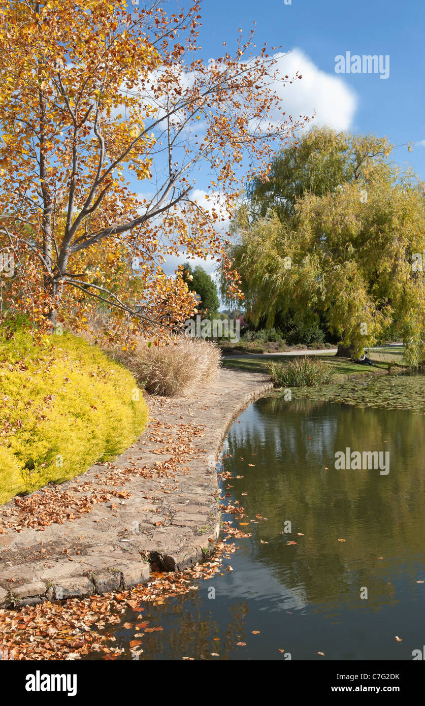 Autumn colours in Commonwealth Park, Canberra, Australia Stock Photo ...
