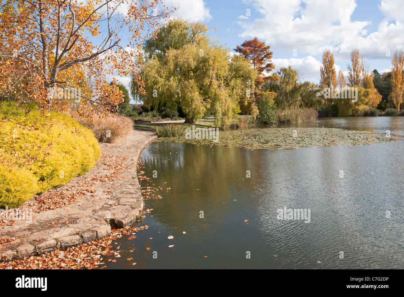 Autumn colours in Commonwealth Park, Canberra, Australia Stock Photo ...
