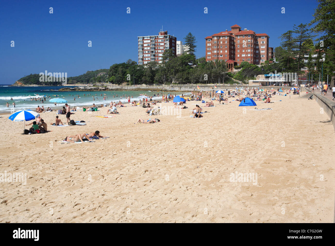 Shelly Beach Sydney High Resolution Stock Photography and Images - Alamy