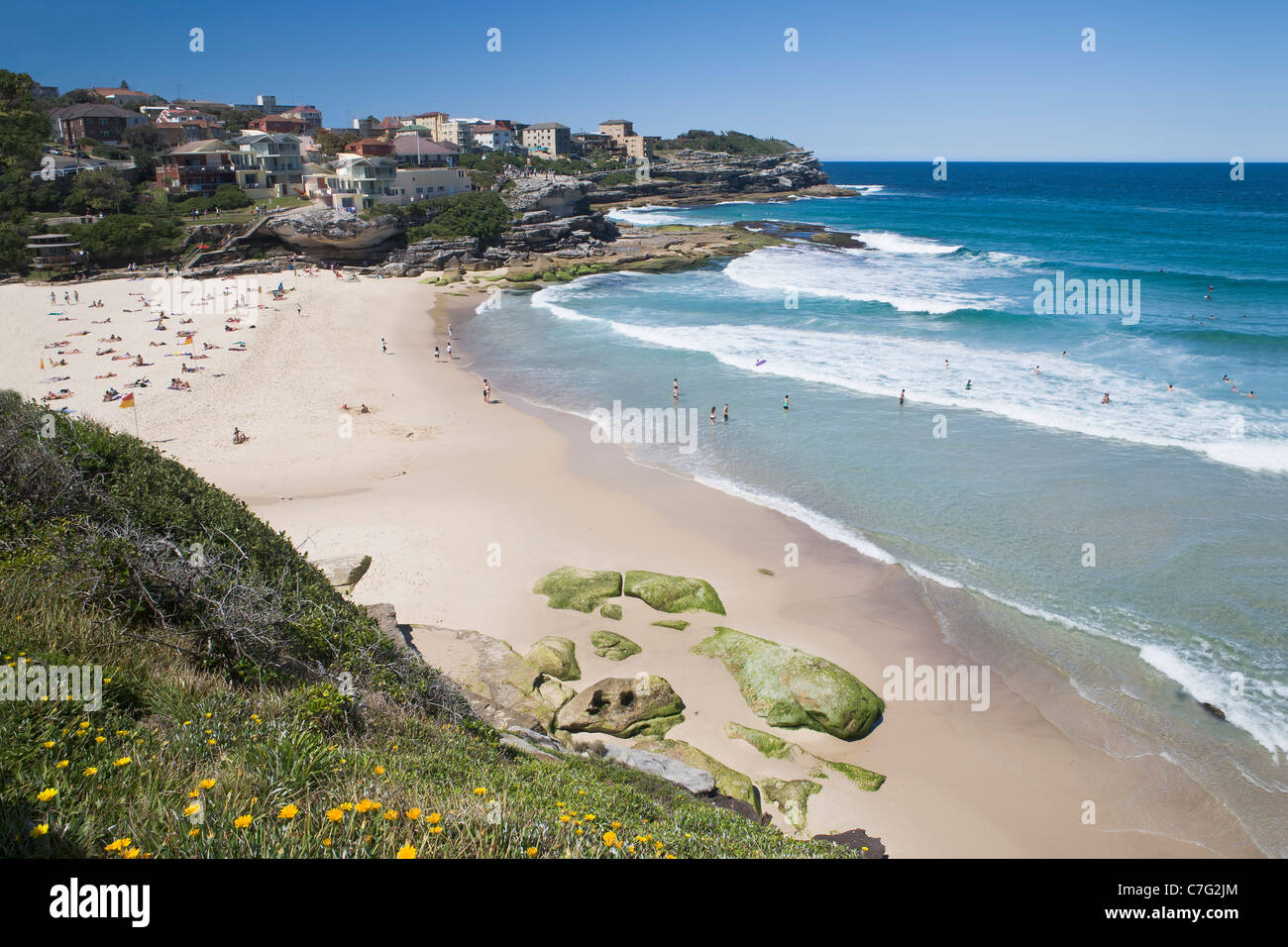 Tamarama beach coastal walk, Sydney, Australia Stock Photo - Alamy