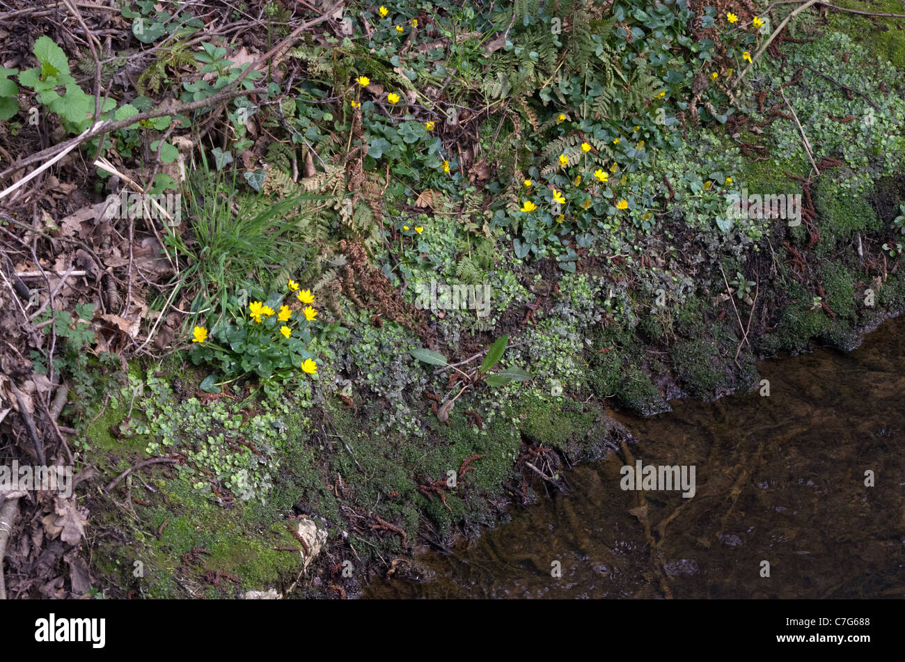 Moist place hi-res stock photography and images - Alamy