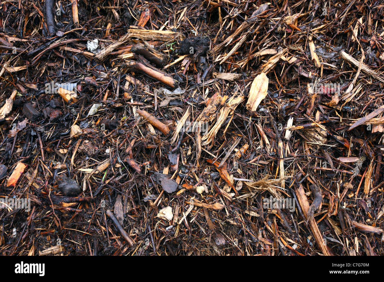 Biomass power plant. Burns waste wood to heat water, for running a ...