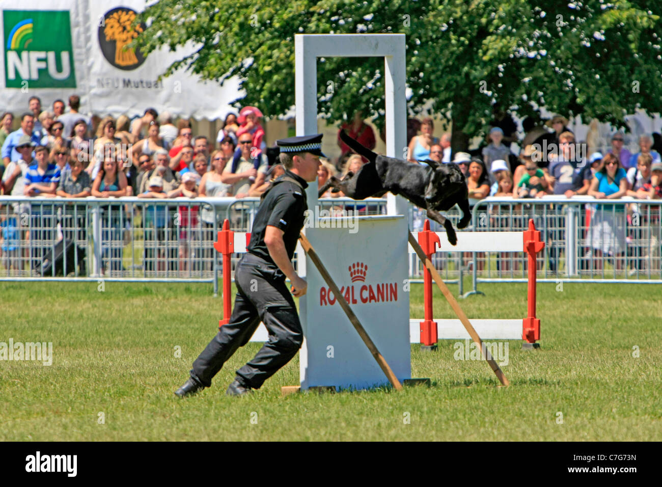 Police dog display hi-res stock photography and images - Alamy