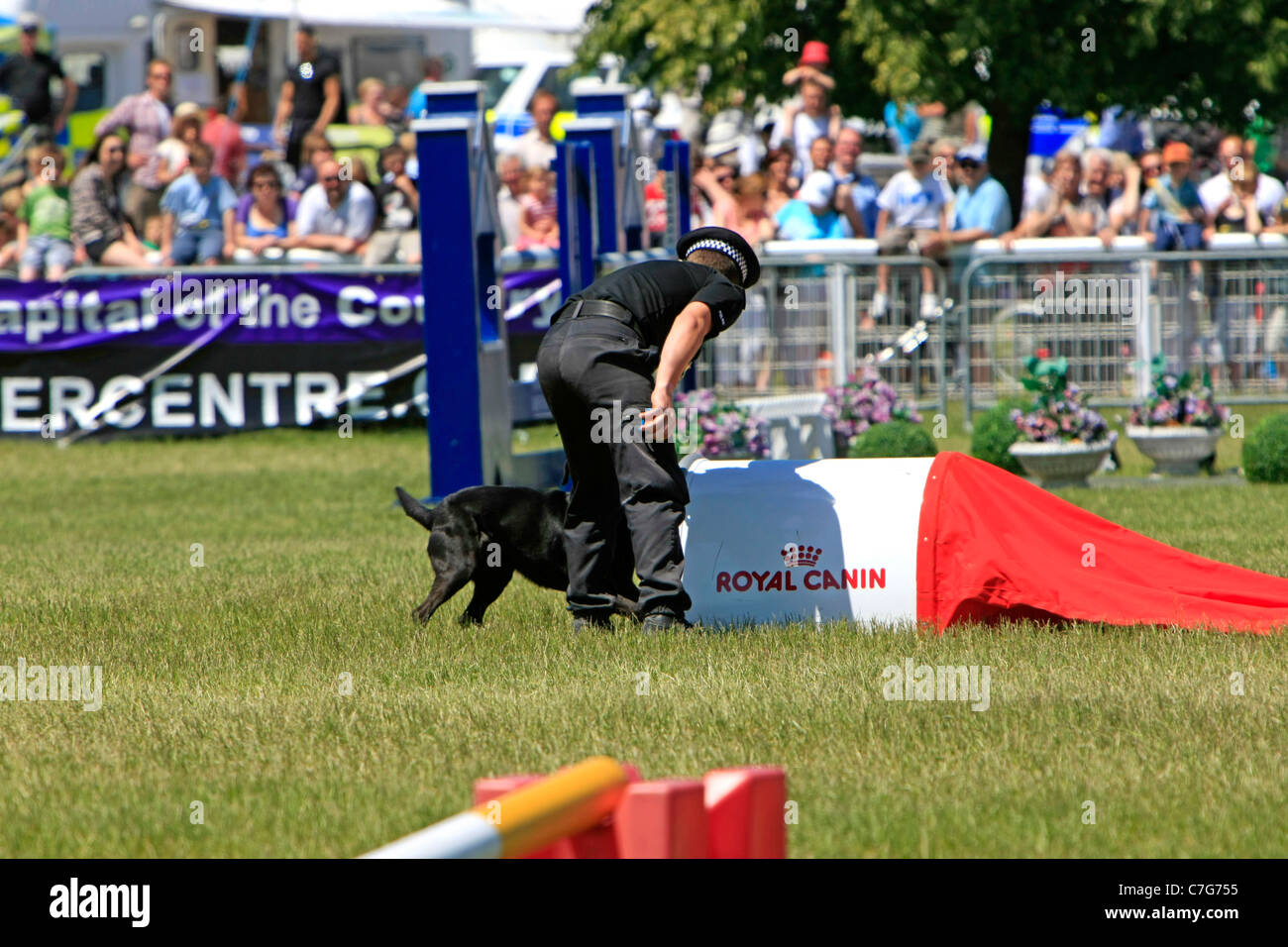 Police dog display hi-res stock photography and images - Alamy