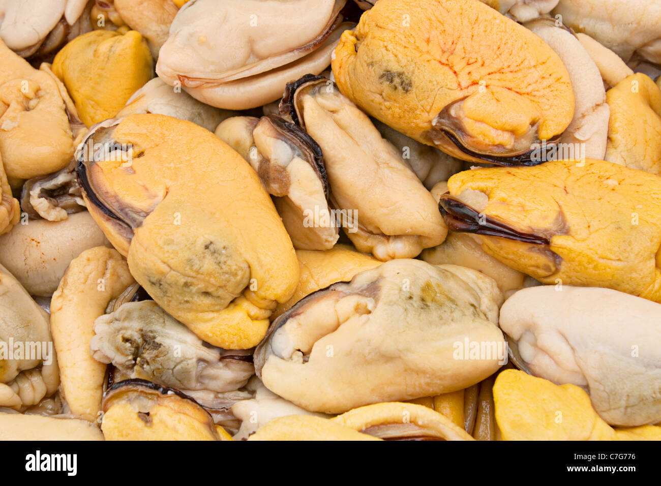 Boiled yellow mussel seafood closeup view background Stock Photo - Alamy