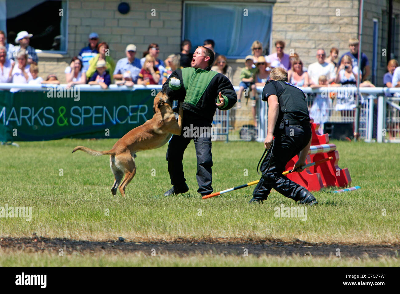 The Somerset Police Dog Display team at the Bath & West show Somerset ...