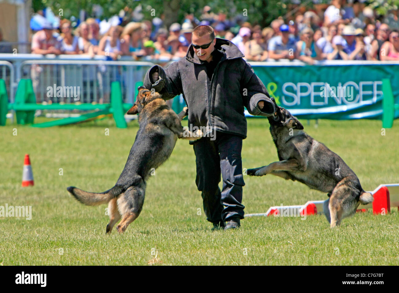 Police dog handling team hi-res stock photography and images - Alamy