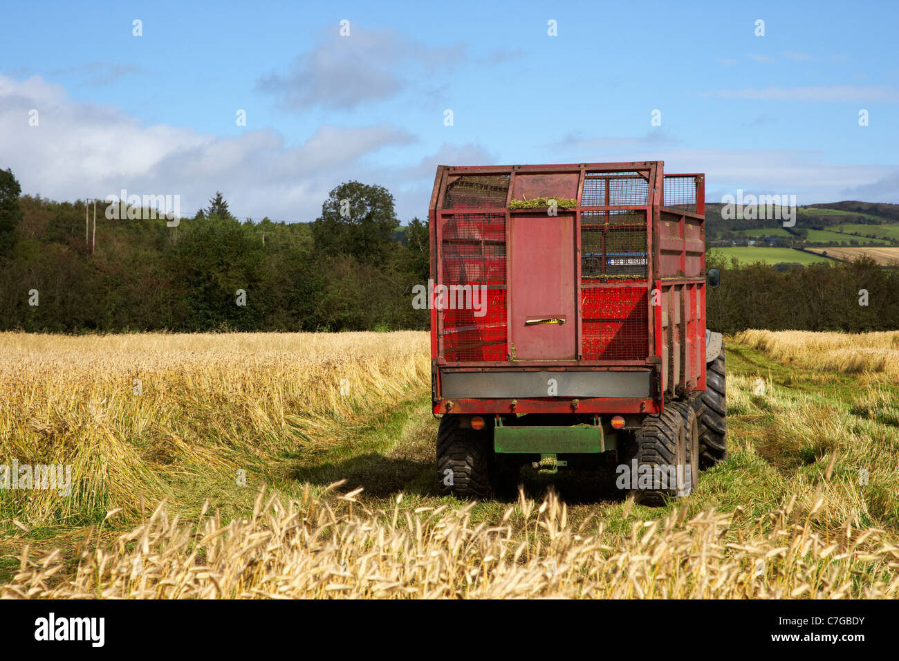 tractor trailer in barley crop in a field ready for harvesting county ...