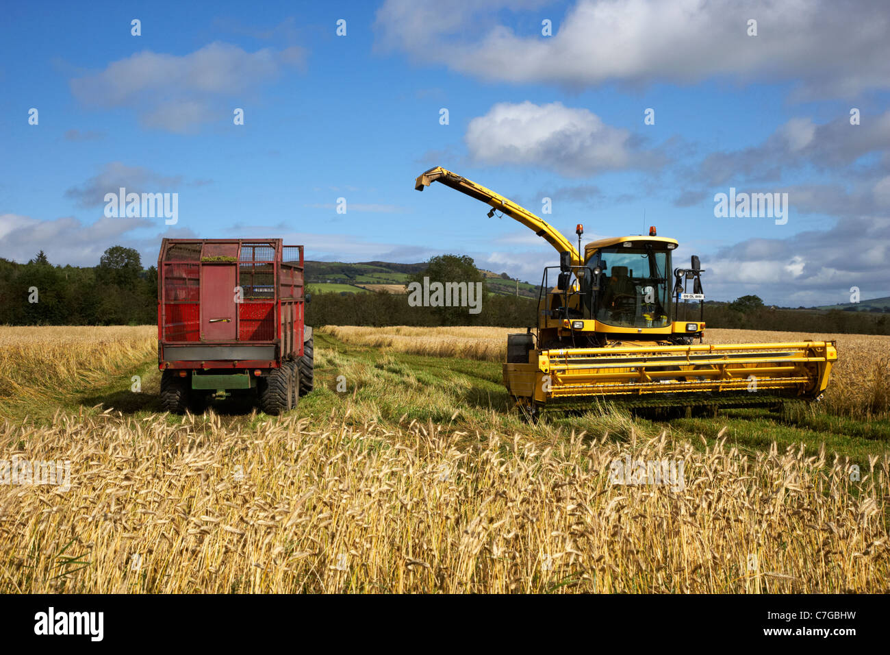combine harvester and tractor trailer in barley crop in a field ready ...
