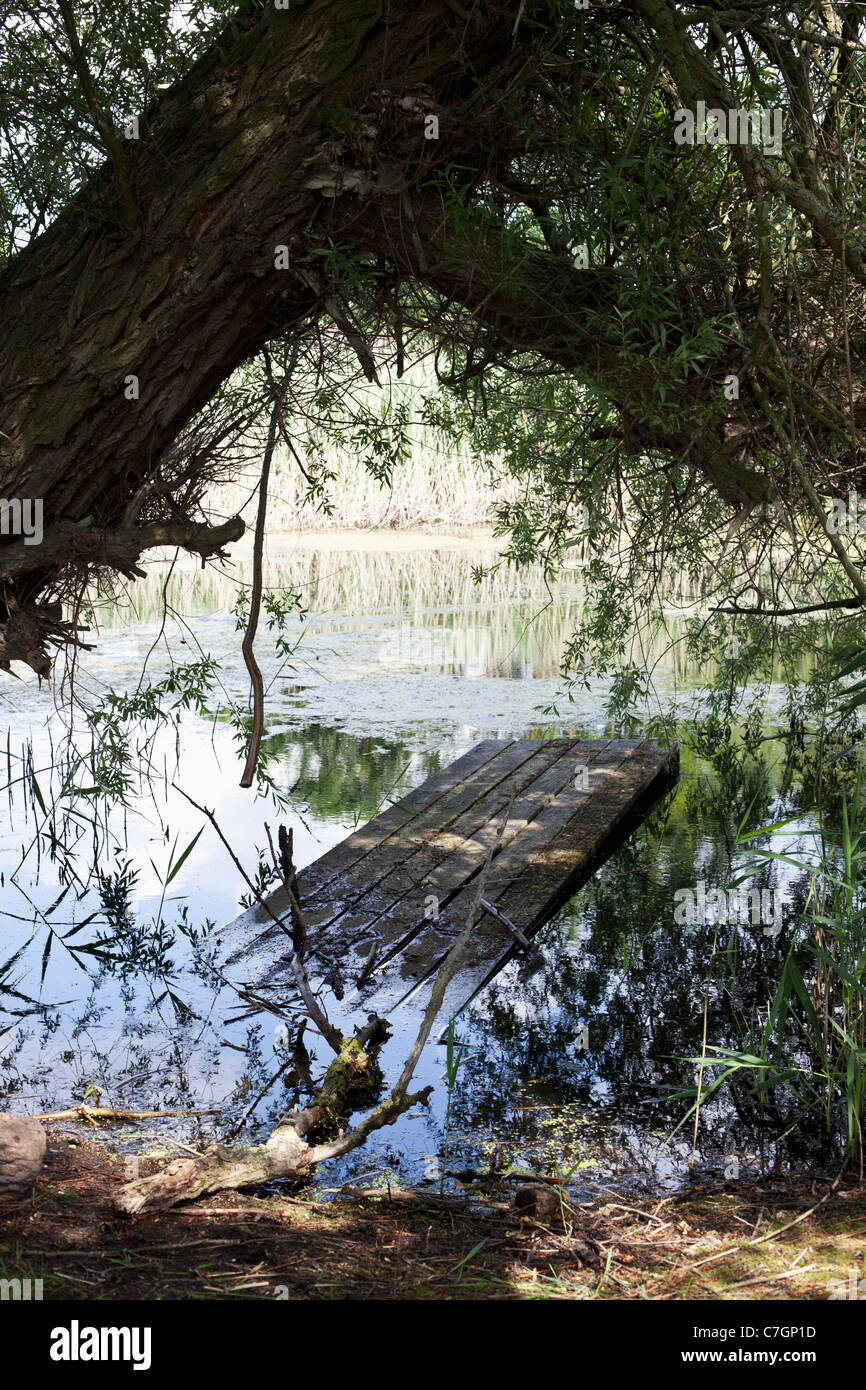 Wood dock sinking in water hi-res stock photography and images - Alamy