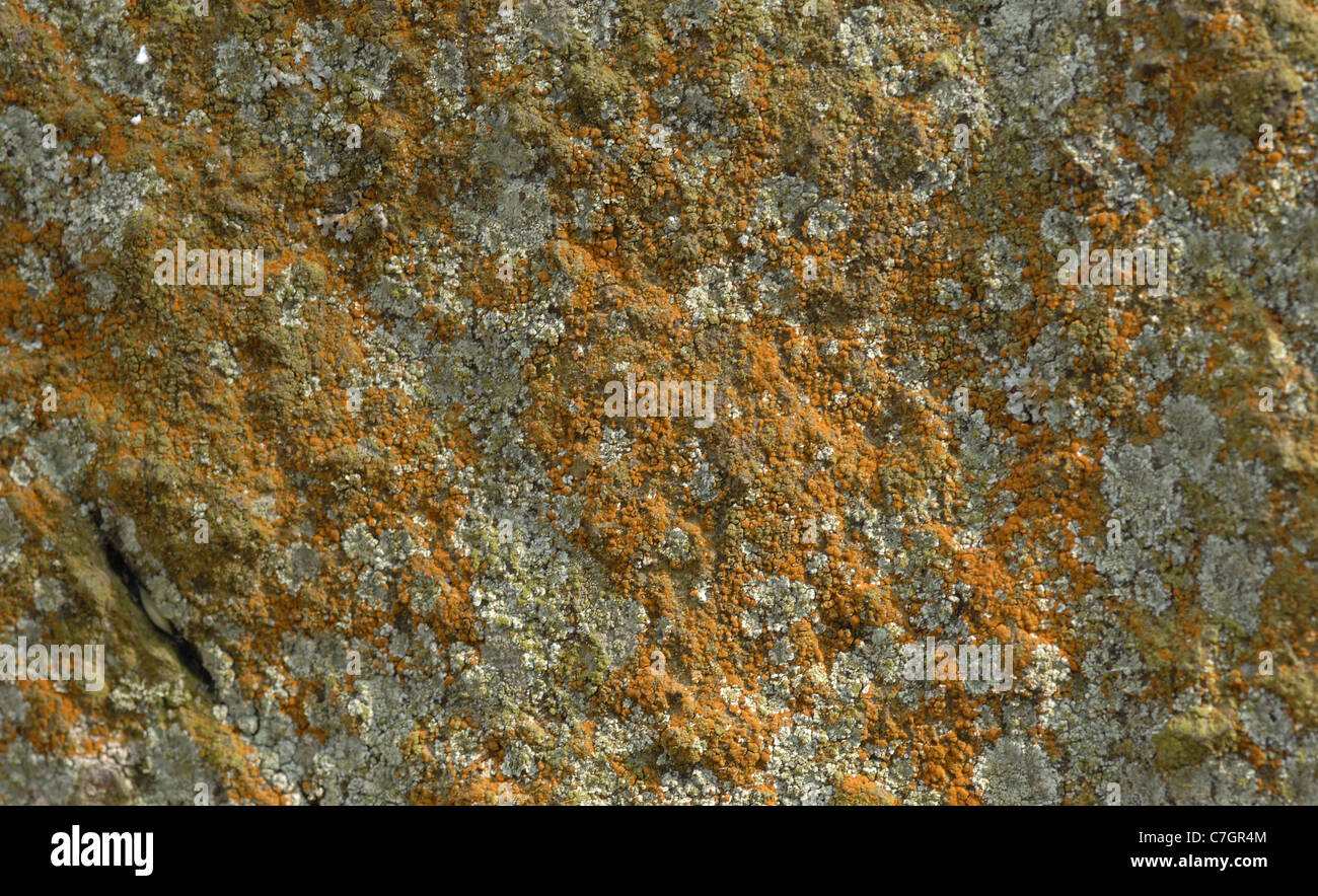 Precambrian rocks hi-res stock photography and images - Alamy