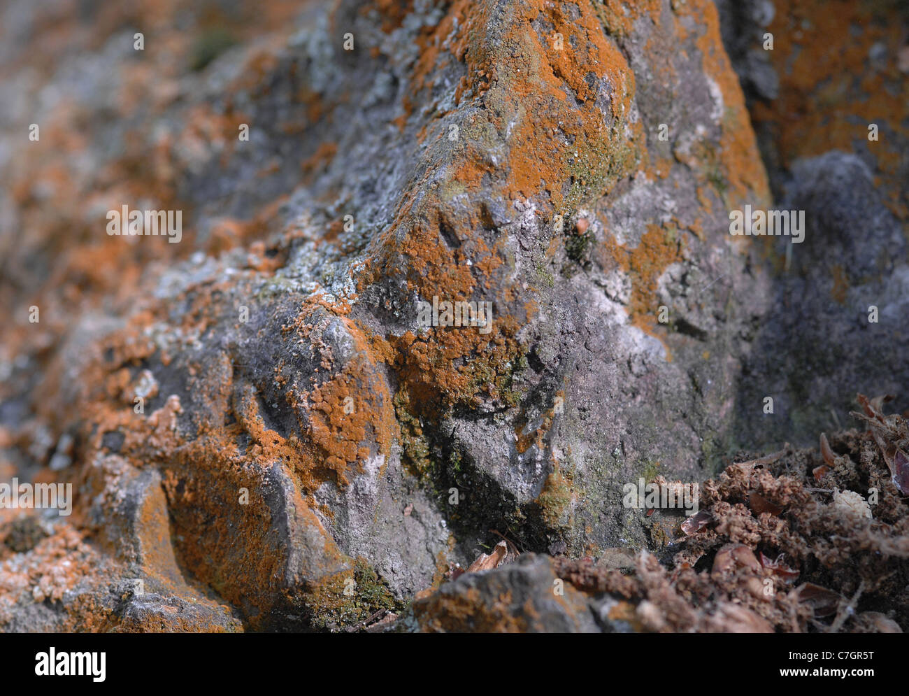 Precambrian rocks hi-res stock photography and images - Alamy