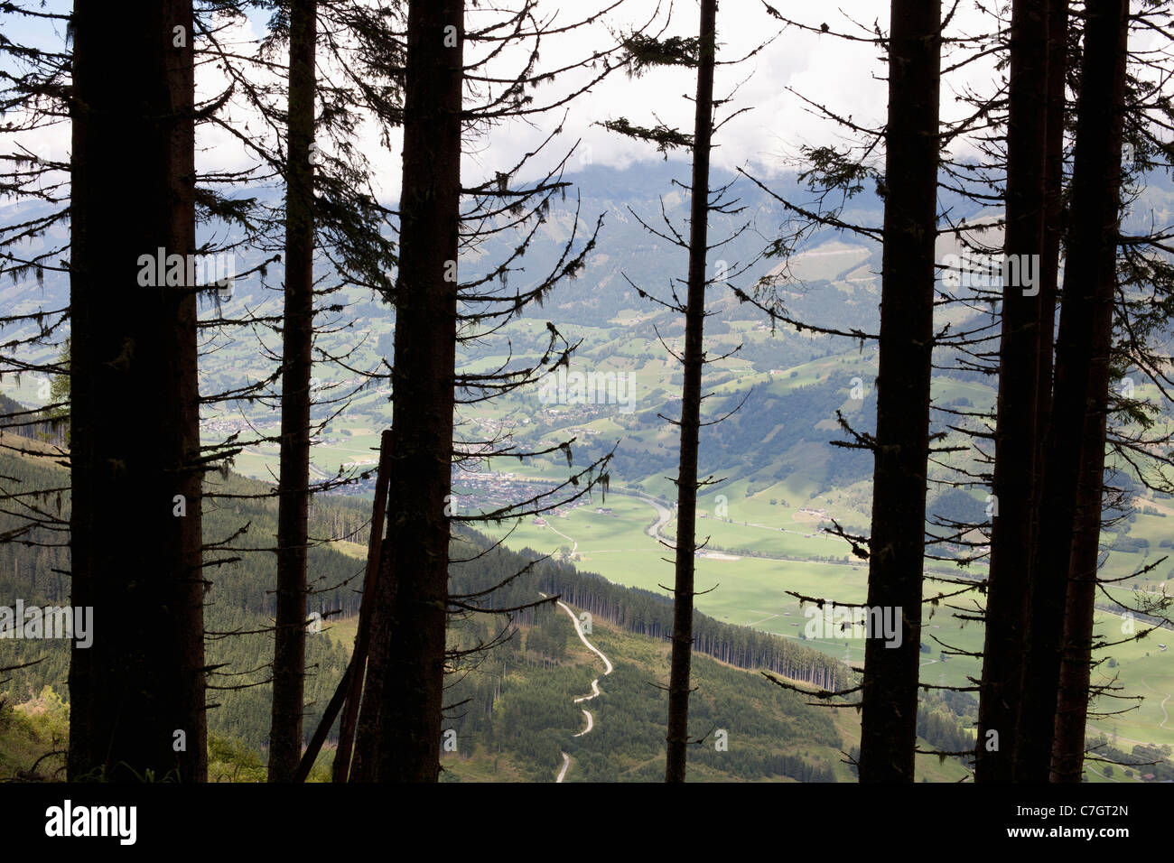 View through trees in hi-res stock photography and images - Alamy