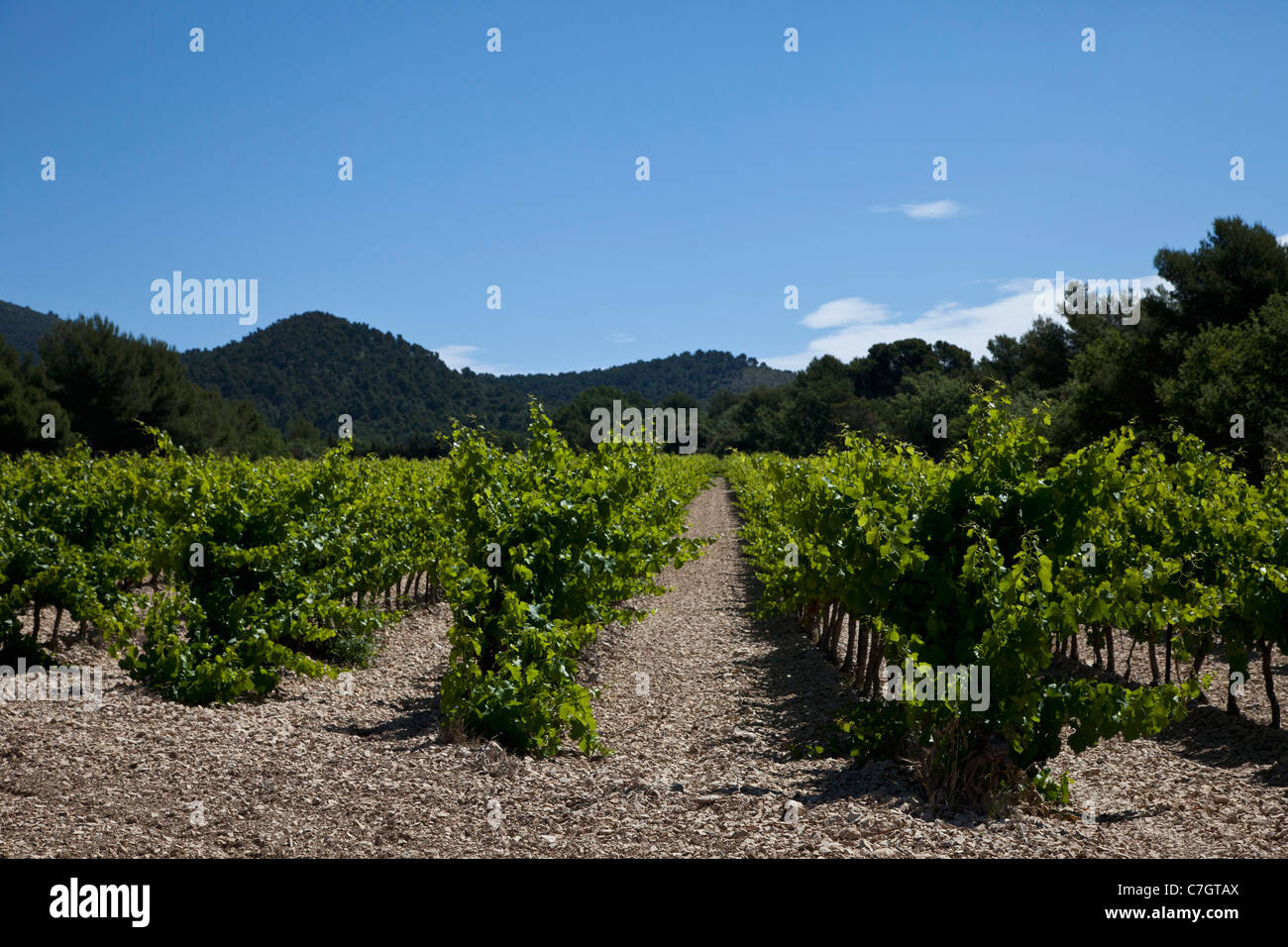 Rural setting scene hi-res stock photography and images - Alamy