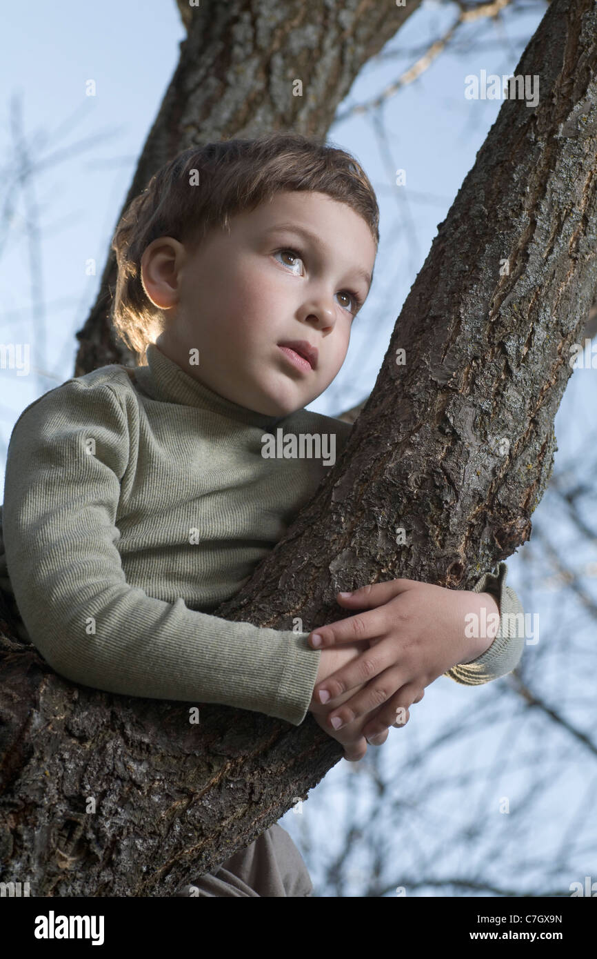 A young boy in a tree looking off in the distance Stock Photo - Alamy