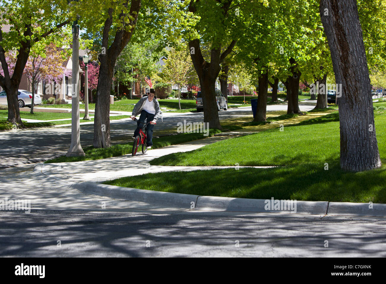 Boy riding bike on footpath among roadside trees Stock Photo - Alamy