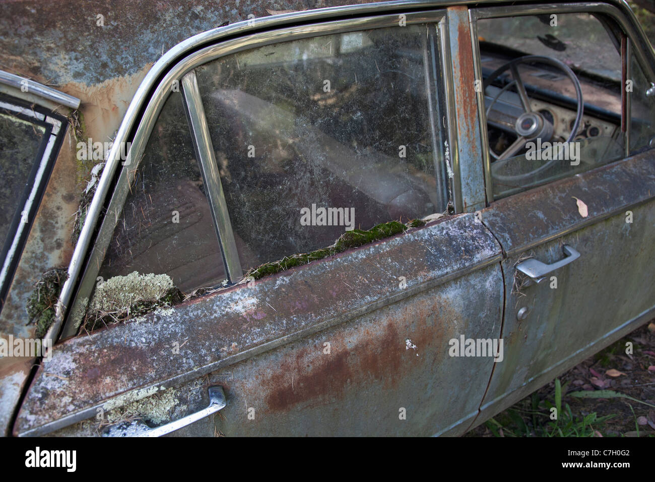 Moss growing on an abandoned rusty car Stock Photo - Alamy