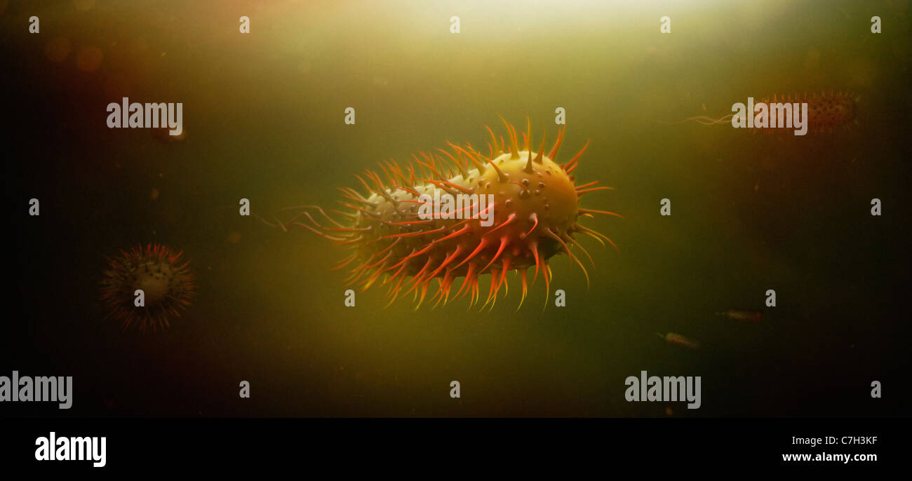 Microscopic view of bacilli bacterium swimming through body Stock Photo ...